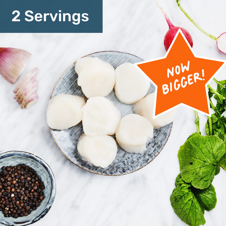 Wild Atlantic Sea Scallops | Sea to Table | Sea to Table | Wild Caught ...